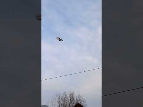 #bilesuvar #goyercin #goyercinler