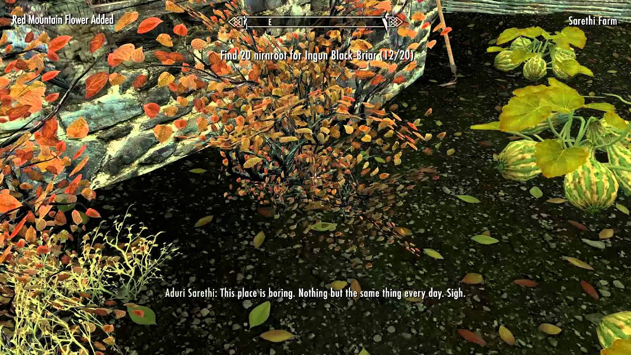 HD: Let's Play Skyrim [201] Avrusa Sarethi - YouTube