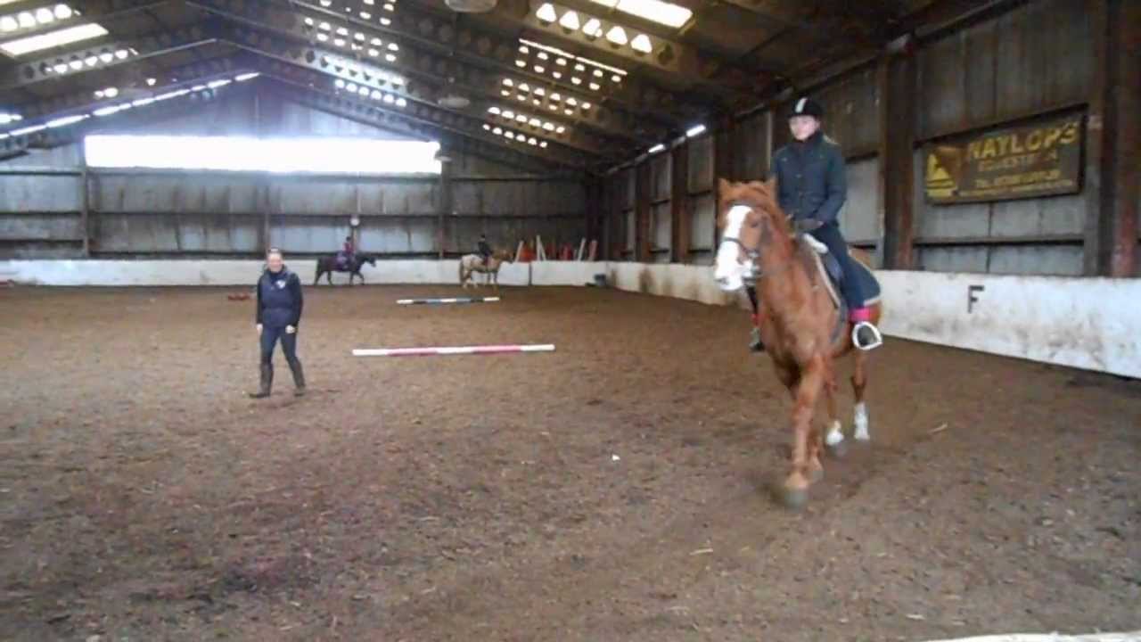 Fox Denton Riding lesson Part 1 - YouTube