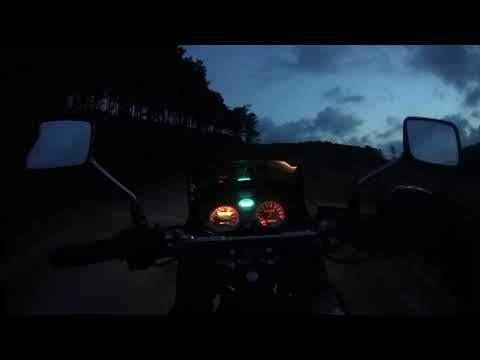 Geceleri orman yollarında gezmek-Altın piston (2019 Ağustos)