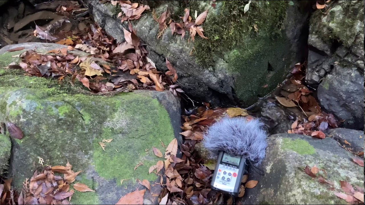 field recording (sound of water) with Zoom H4N - YouTube