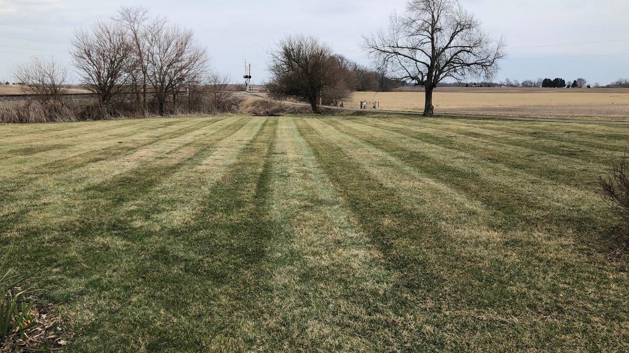 (TDS) Spring has arrived!! - YouTube