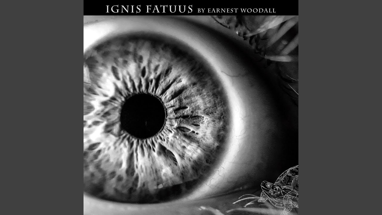 Foolish Fire - YouTube