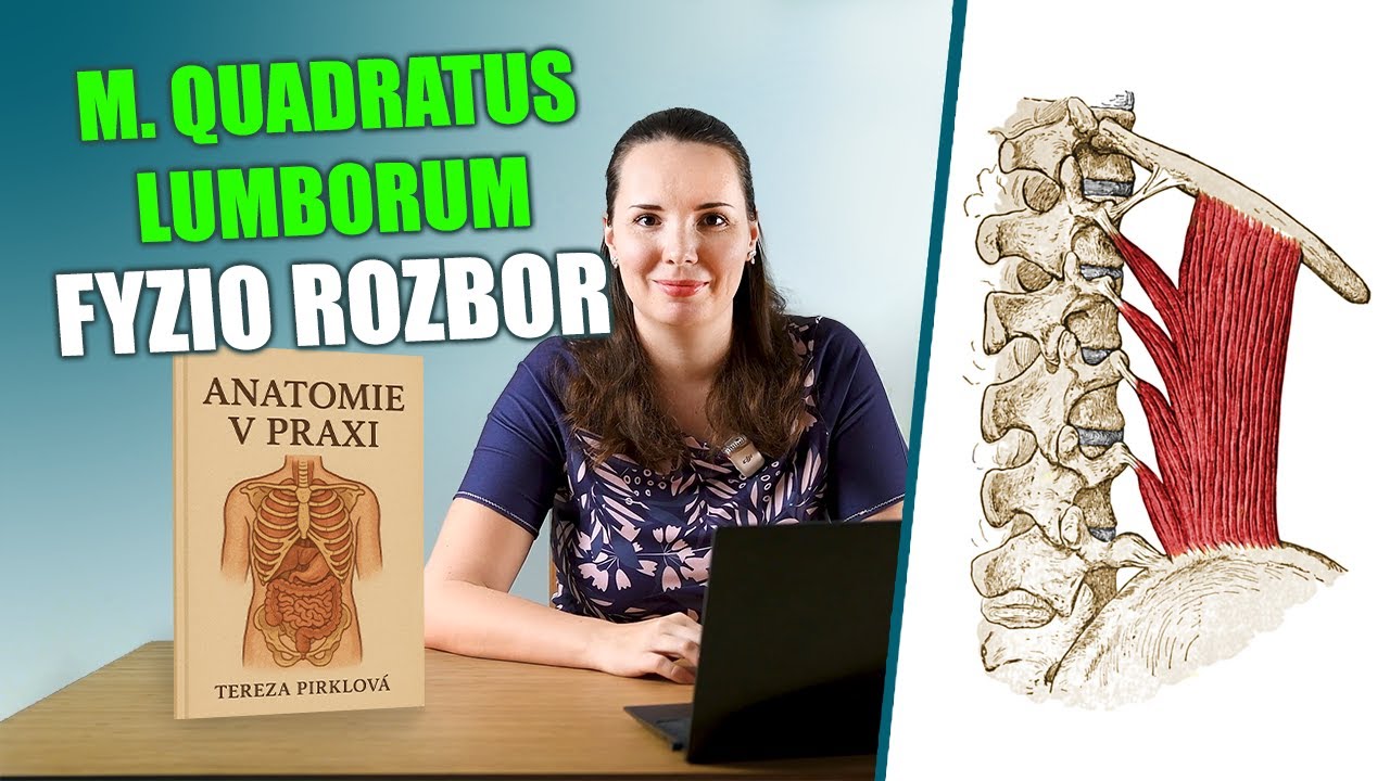 📖 ČTYŘHRANNÝ SVAL BEDERNÍ (m. quadratus lumborum) | Bolesti zad & SI ...