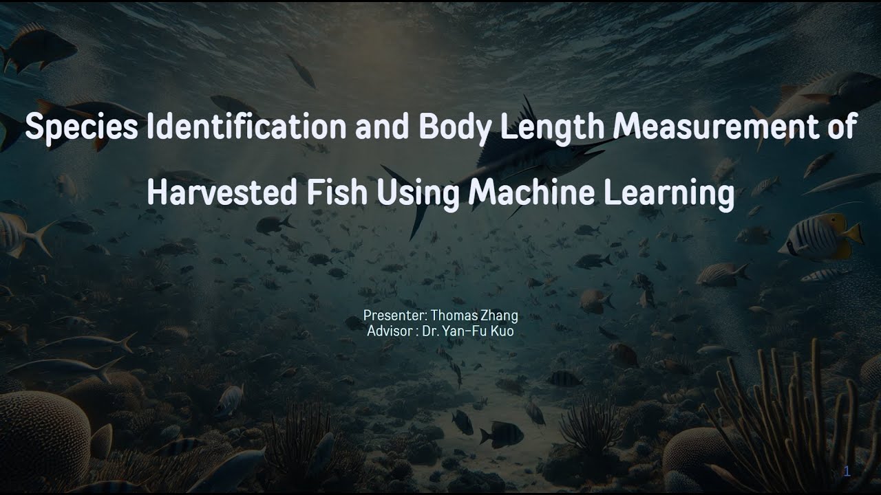 學士專題 – 2024 Species Identification and Body Length Measurement of ...