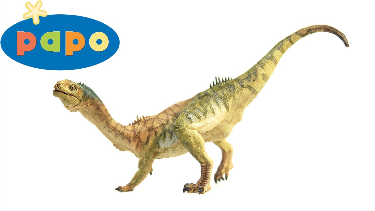 Papo Chilesaurus Model Review-New for 2020 - YouTube