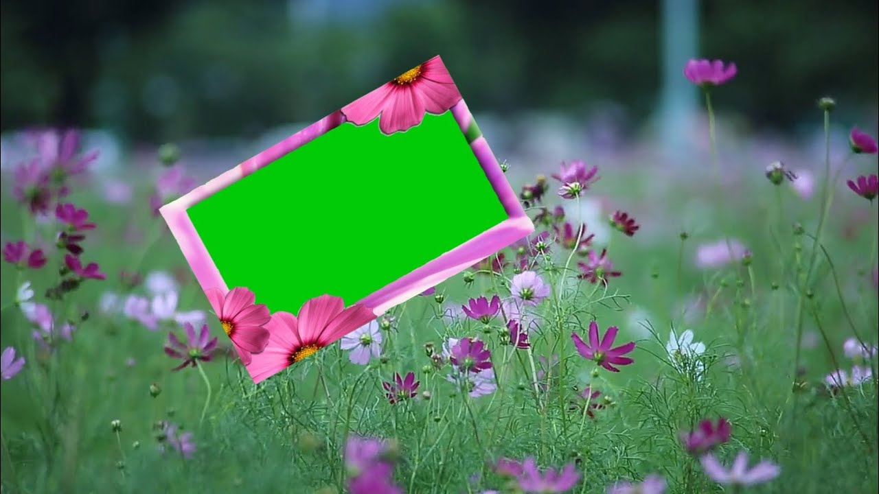 green screen effects backgrounds - YouTube