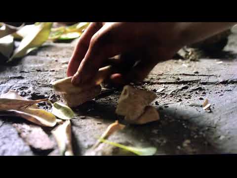 Mowgli bhoot emotional scenes