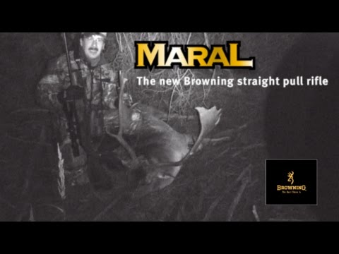 Browning MARAL versus Fallow Buck / Damhirschjagd - YouTube