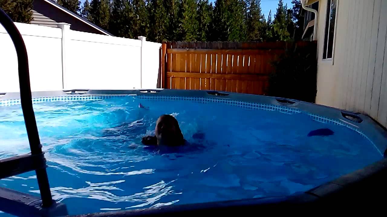 Pool gymnastics - YouTube