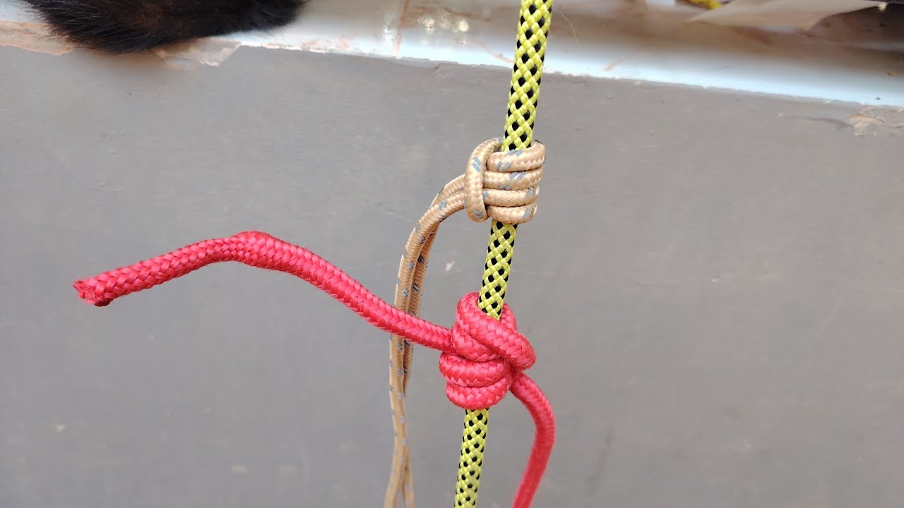 Friction knots commonly used by tree climbers#ropetutorial#practical# ...