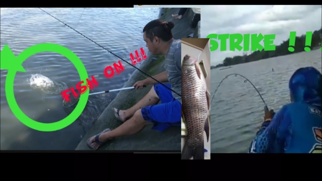 SAMA-SAMANG NAG FISHING AT HUMULI MGA TEAM FISHINGHAVITS - YouTube