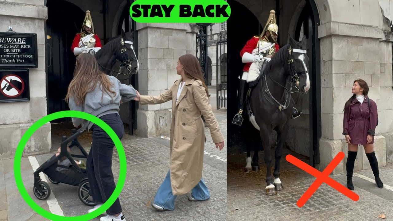 THE HORSE has SOMETHING to say🤣Keep 1 meter distance! 🤬The white line ...