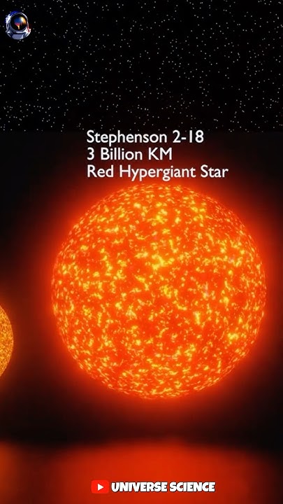 The Sun VS Largest Star Stephenson 2-18 #shorts #short - YouTube
