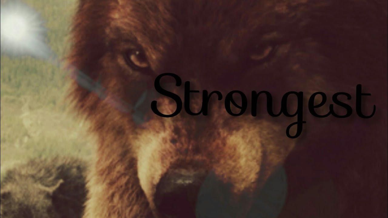 Jurassic world & Twilight wolves ~ Strongest - YouTube