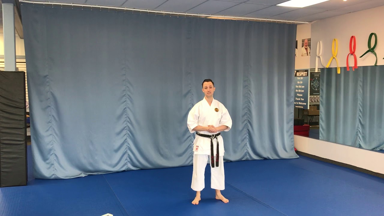 Karate (White Belts): Kihon / Basic Techniques - YouTube