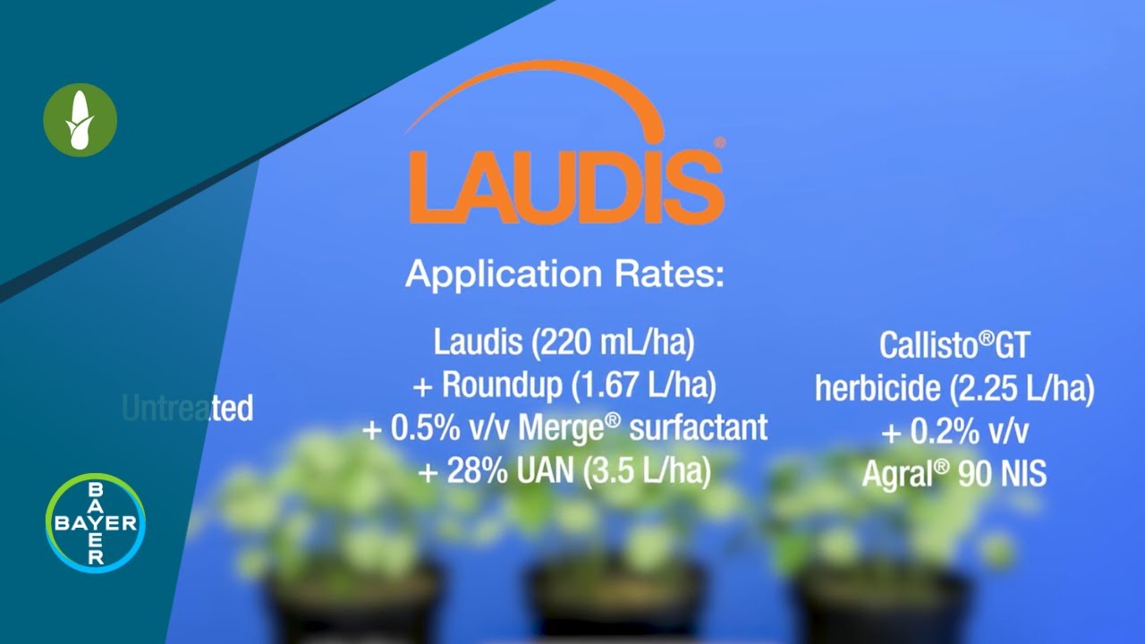 Corn Herbicide: Laudis Herbicide Time Lapse Video - YouTube