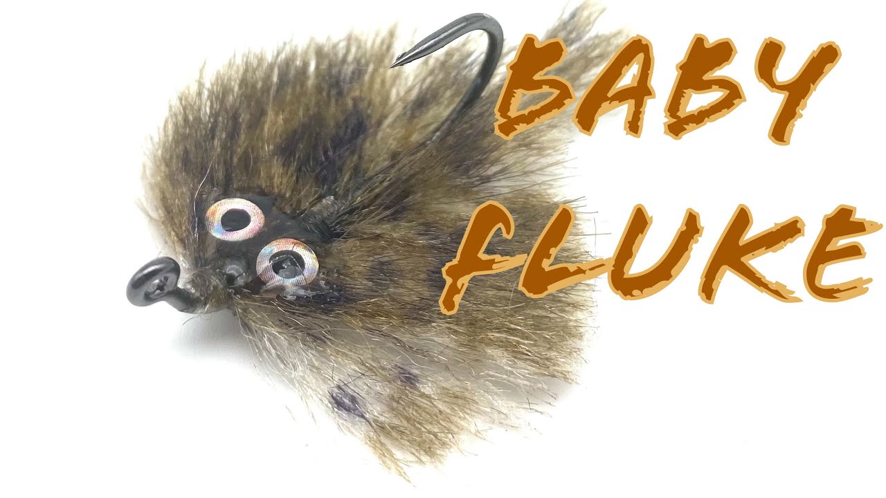 Fluke “Baby Fluke” aka Juvenile Fluke - YouTube