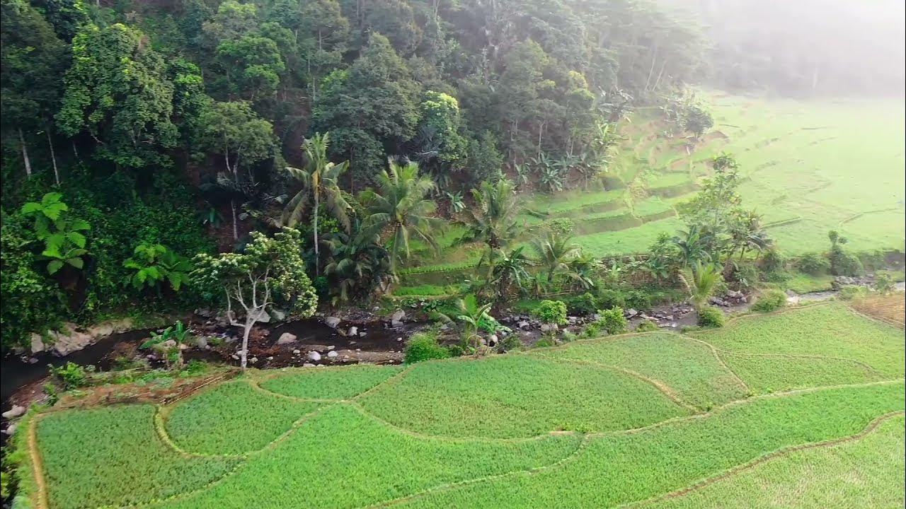 Village Drone Shot No Copyright | Village Drone Footage 4k | Village ...