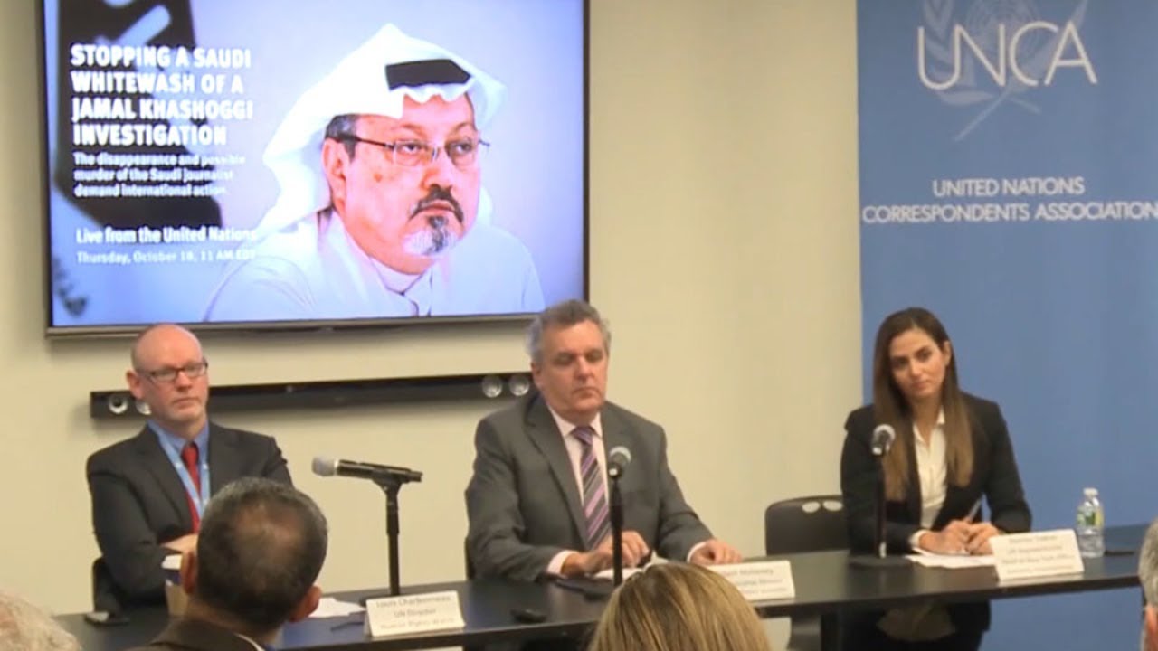 Human rights advocates urge UN to launch probe into journalist's ...