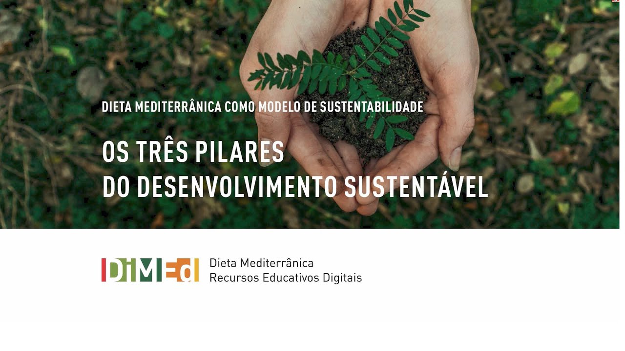 Pilares Do Desenvolvimento Sustentável - LIBRAIN Pilares Do Desenvolvimento Sustentável - LIBRAIN