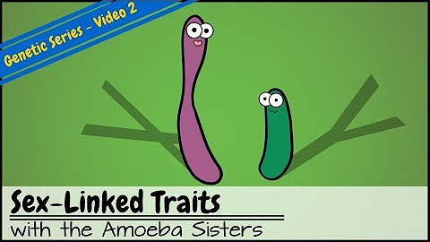 "Punnett Squares and Sex-Linked Traits (OLD VIDEO)" (Amoeba Sisters ...