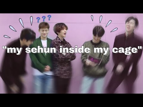 wild things EXO say during interviews
