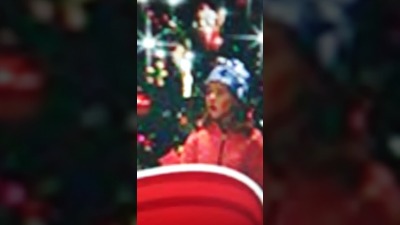 Barney's Christmas Star Returns: Beth the Female Girl - Katherine Pully ...