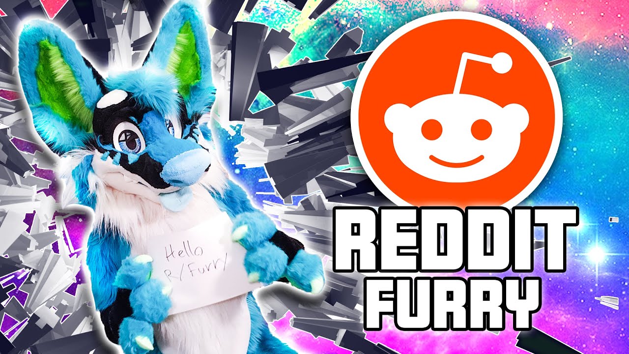 Hello furry reddit and meme! - YouTube