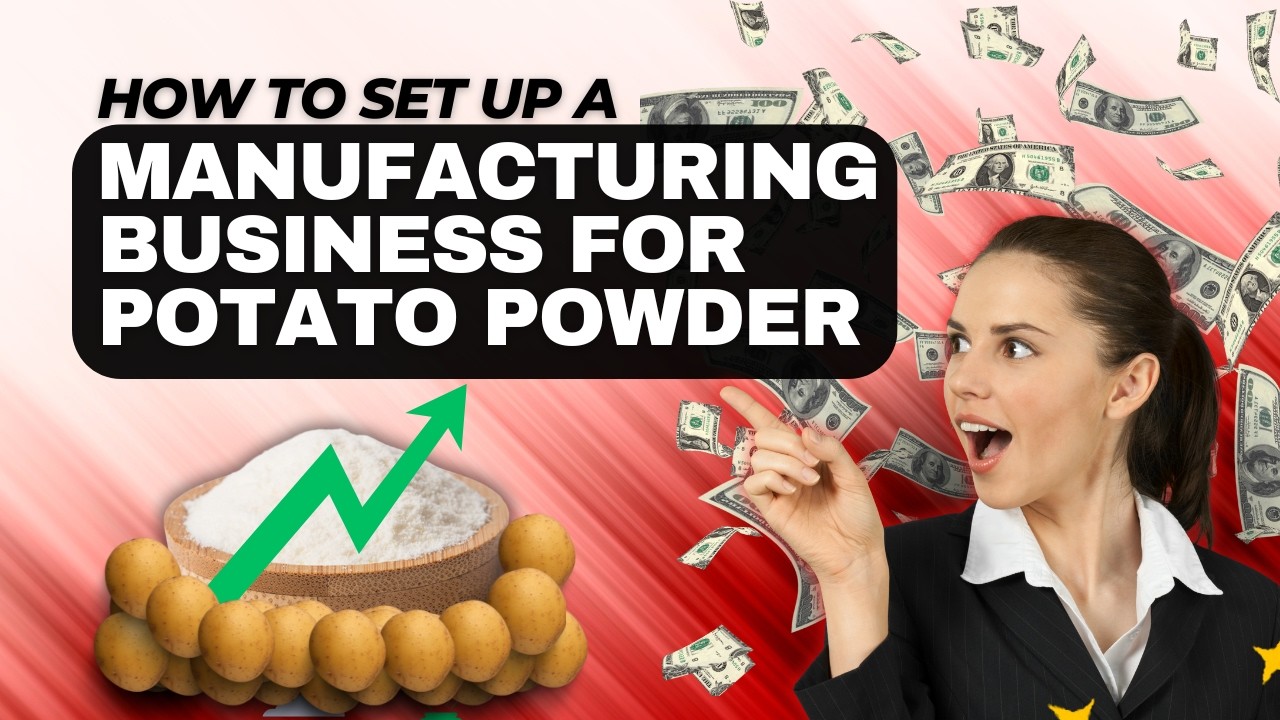 Why and how to set up manufacturing business of Potato Powder # ...