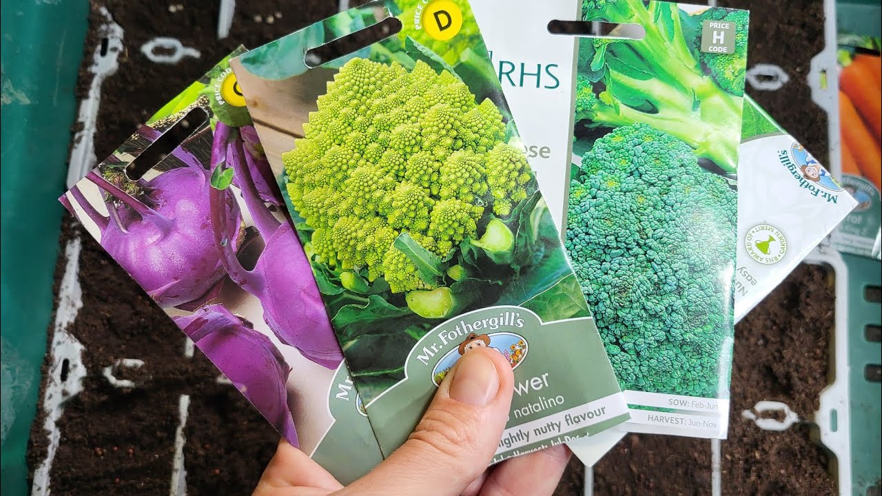 5 Tips For Planting Vegetable Seeds 🌱 For Beginners #gardening # ...