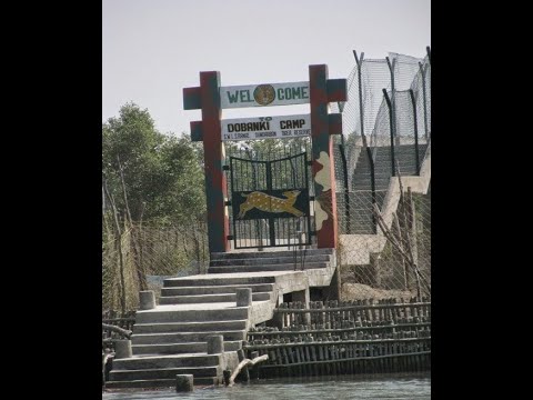 Dobanki Watch Tower/Canopy Walk {Sundarbans Tiger Reserve} - YouTube
