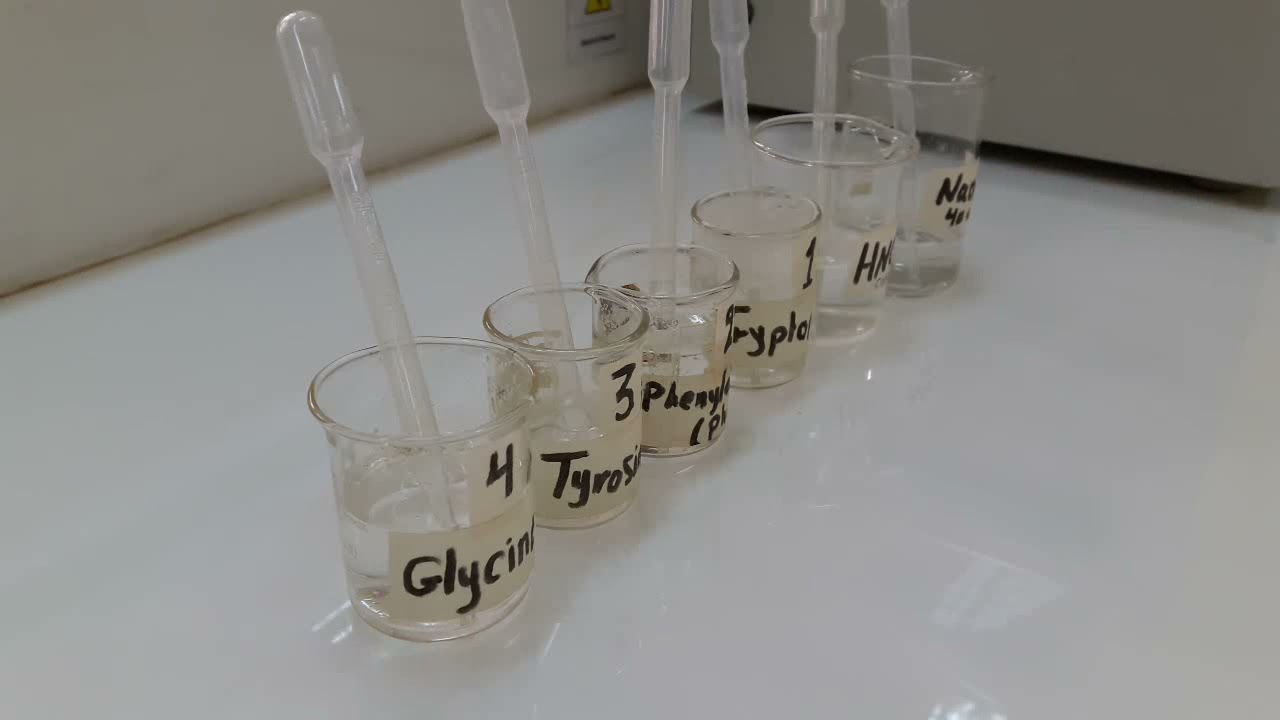 Xanthoproteic reaction - YouTube