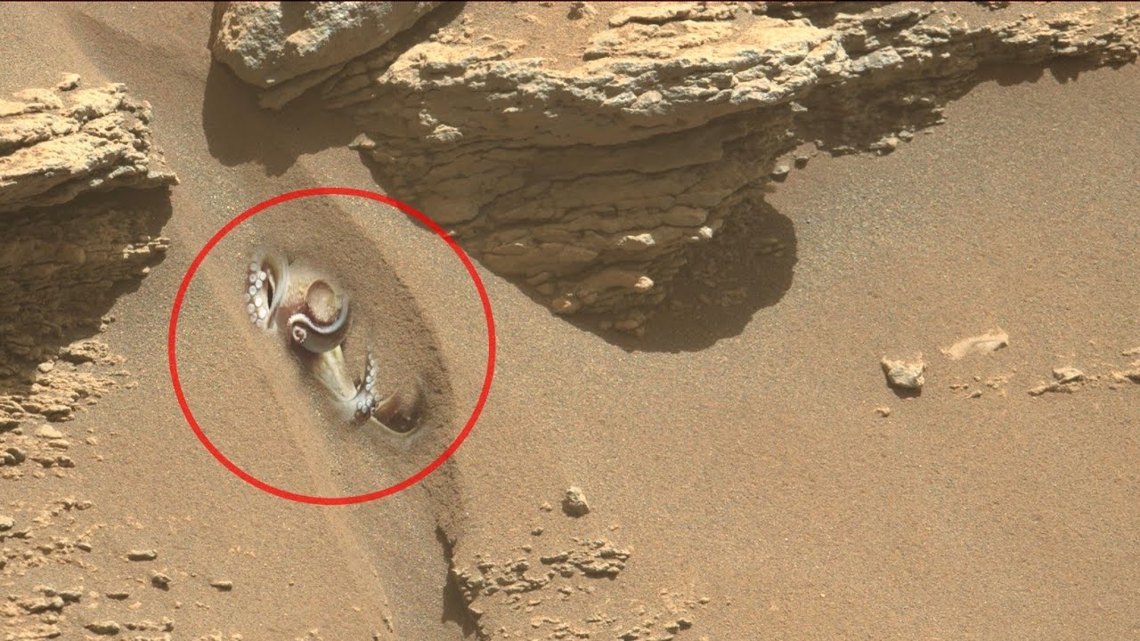 Mars Perseverance Rover Captured a New 4k Stunning Video Footage of ...