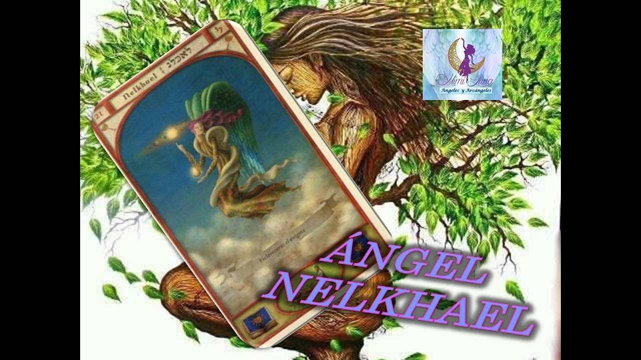 ÁNGEL NELKHAEL - YouTube