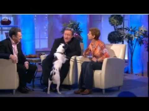 What Happened To Sykes The Dog From Midsomer Murders