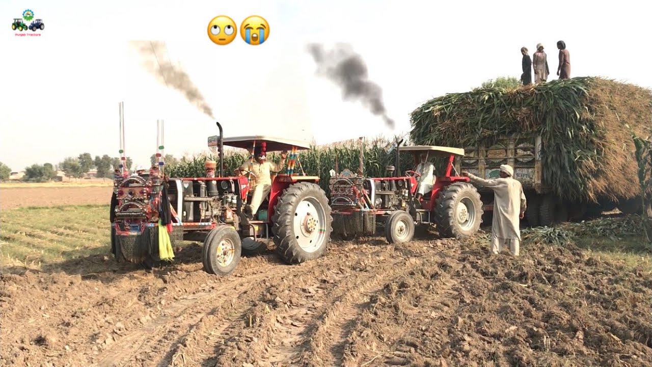 Tractor Fail | 4 Massey Ferguson and Belarus 510 Hard Struggle to Pull ...