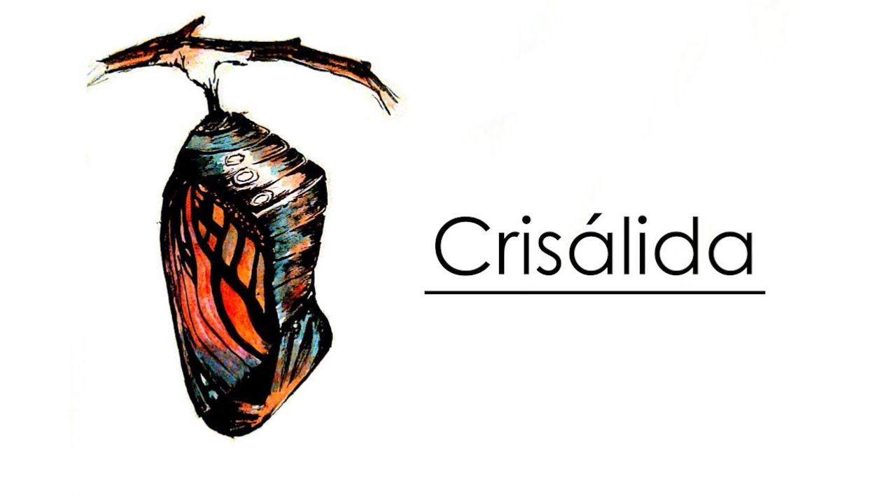 Crisálida - YouTube