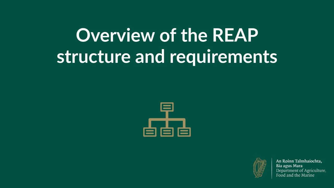Overview of the REAP structure and requirements for participant # ...