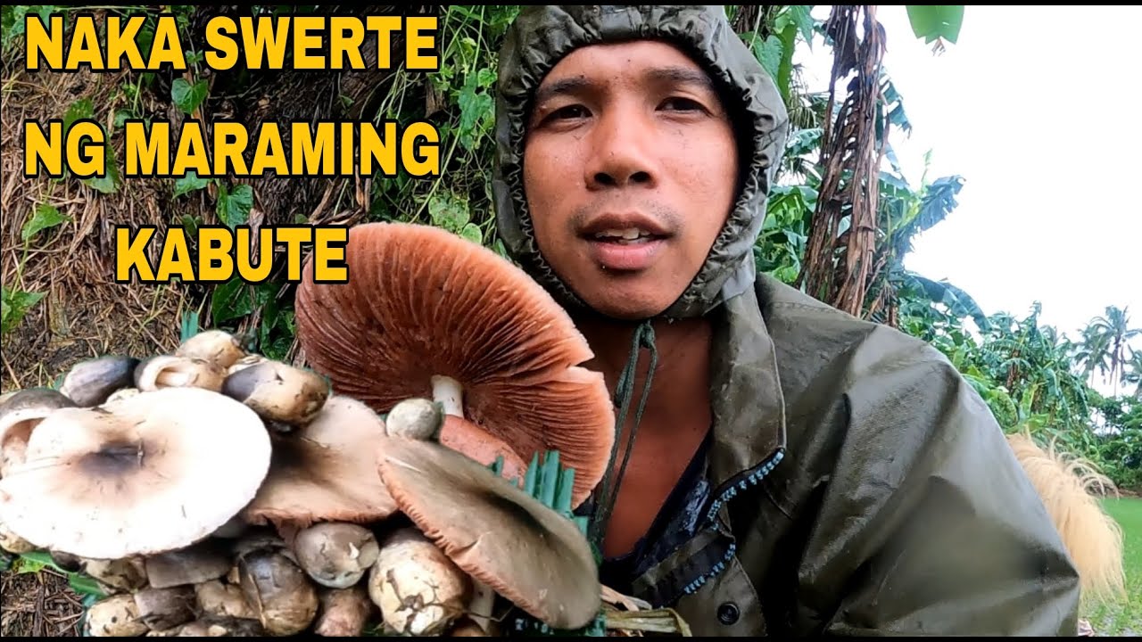 BIYAYA NG DAYAME - YouTube