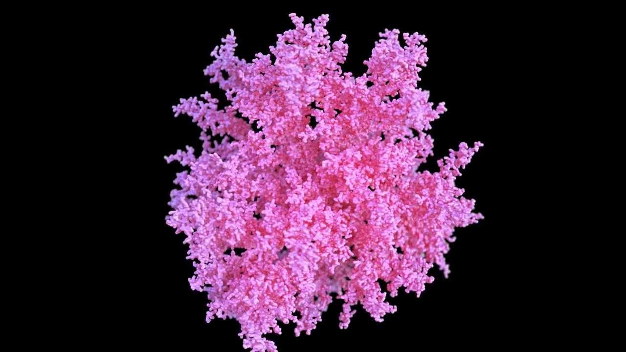 3D Diffusion-Limited Aggregation - YouTube