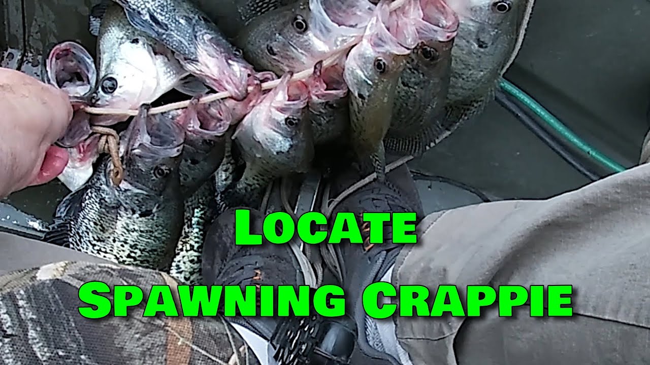 Tips to Locate Spawning Crappie (Crappie Fishing in the Spring) - YouTube