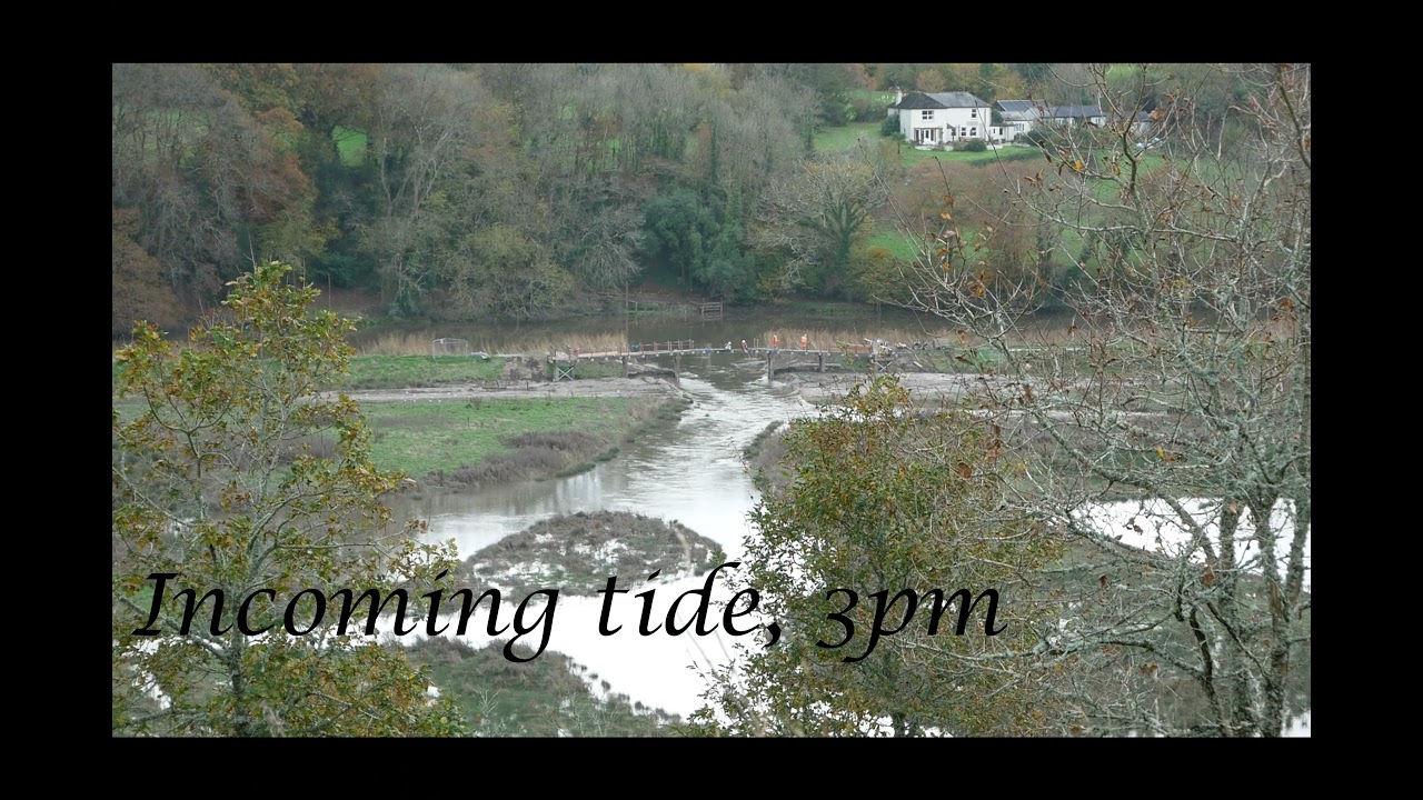 Calstock Wetlands, incoming tide, 17 11 21 - YouTube