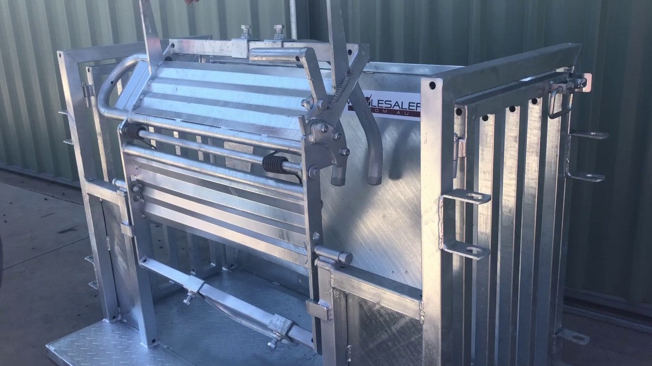 Sheep and Goat Crush - YouTube