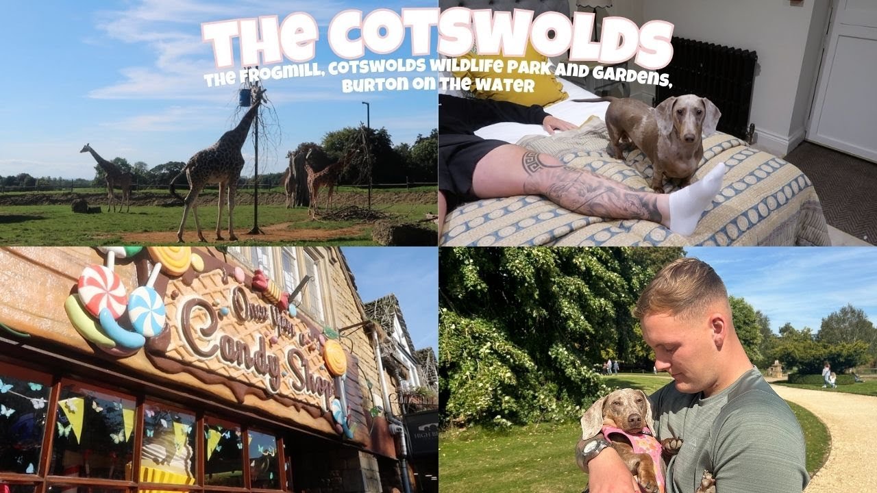 cotswolds vlog 🐛🌳 the frogmill, cotswolds wildlife park and gardens ...