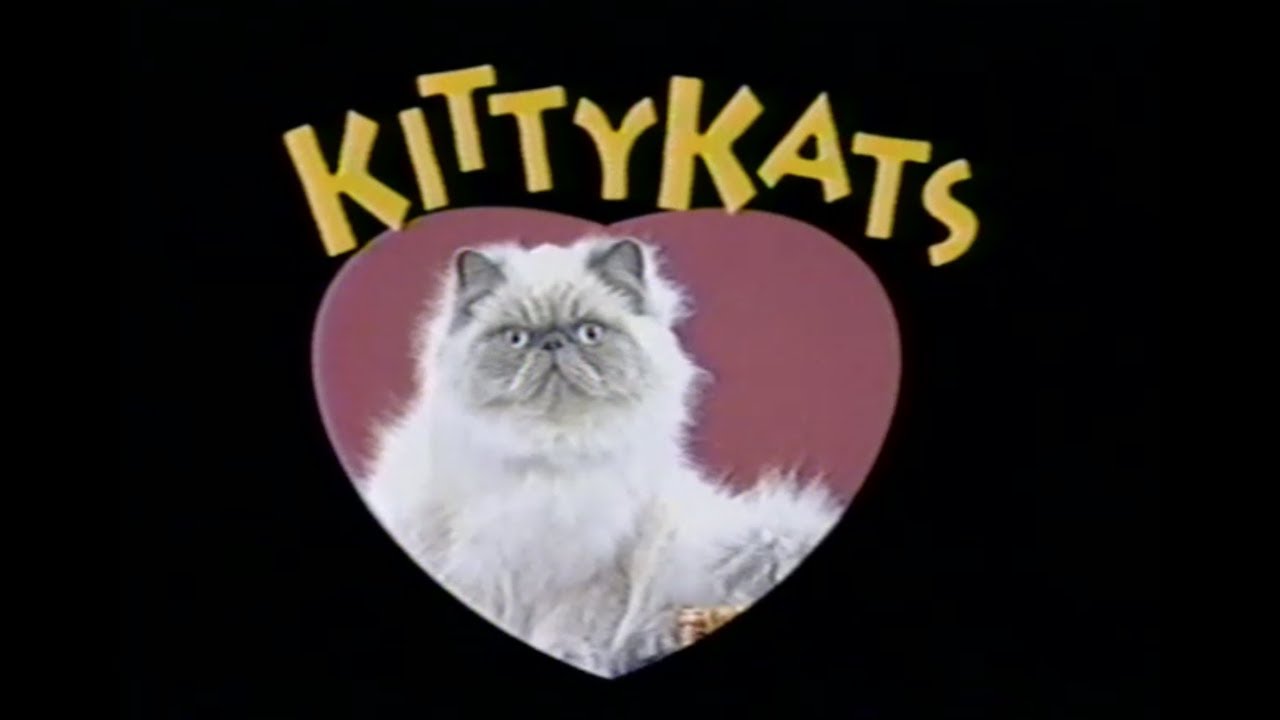 VHS: Kitty Faces! (1996) - YouTube