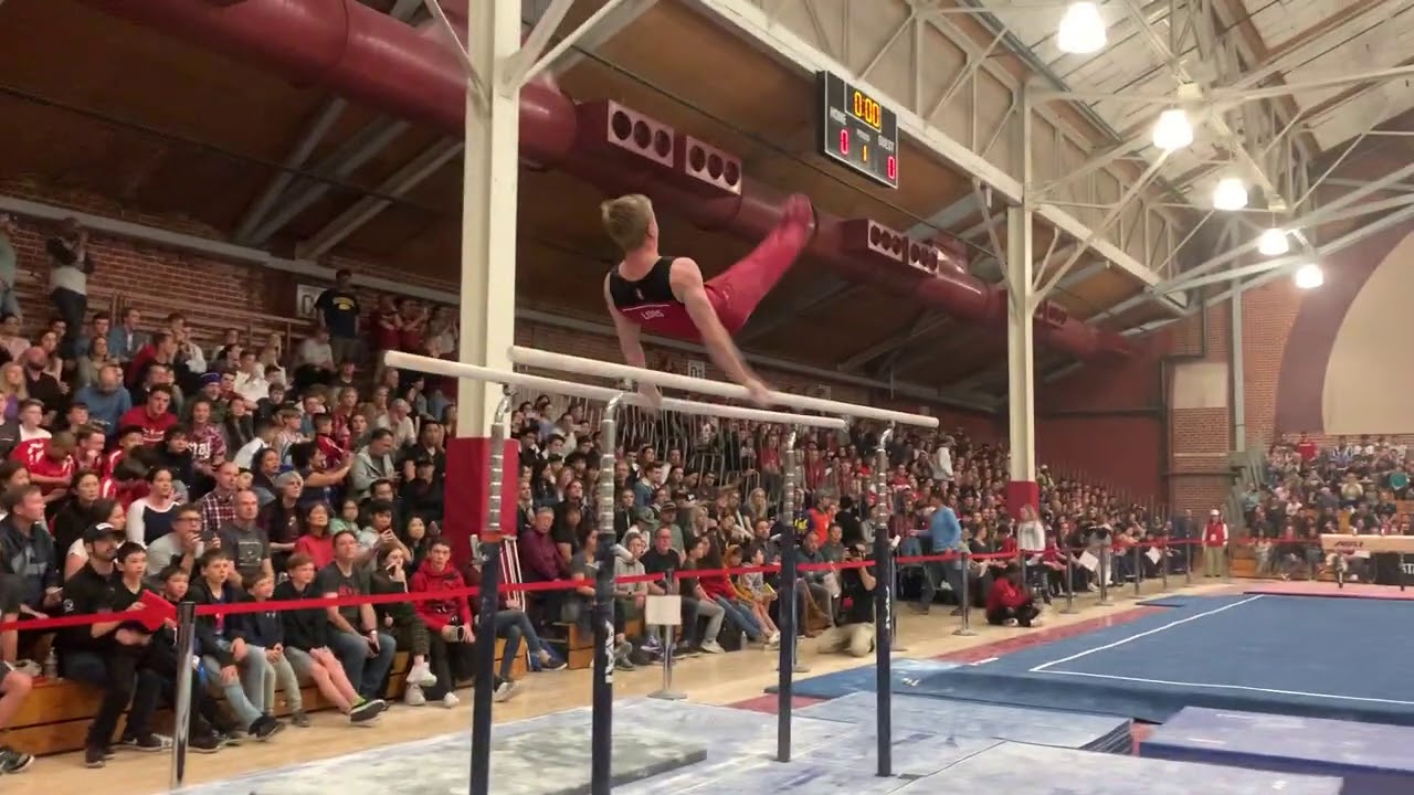 Riley Loos Parallel Bars - 2020 Stanford Open - YouTube