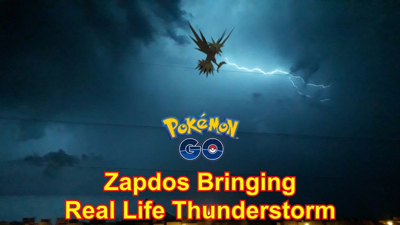 Real Life Zapdos