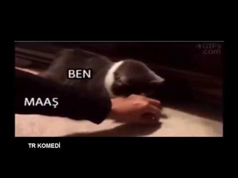 maas ben ve  kredi karti