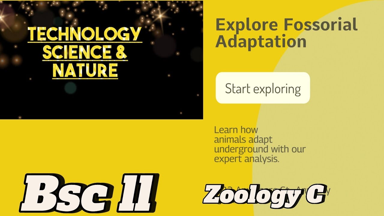 Bsc II Zoology'C / Adaptation class II Fossorial Adaptation - YouTube